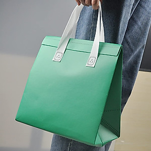 AIVYGDEN 60pcs Insulated Take Away Bags,Thermal Insulation Food Bag for Coffee,Milky Tea,Take-away Dinner,Fresh Seafood,Cold or Warm Food drive for Restaurant,Retail Store or Picnic/BBQ (green)