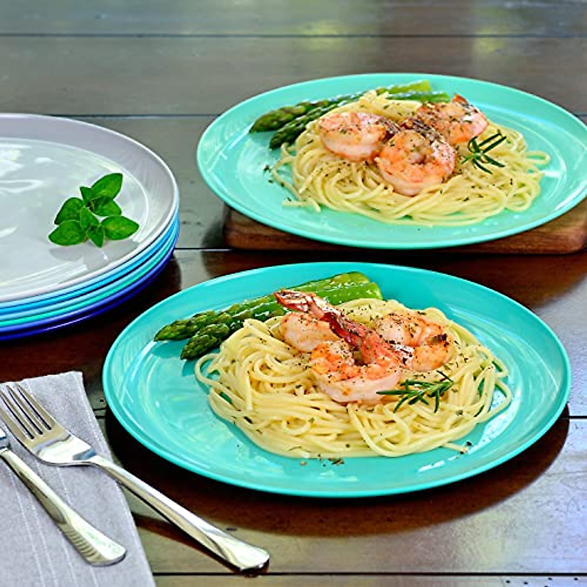 Youngever 10 Inch Plastic Plates, Large Plates, Dinner Plates, Set of 9 (Coastal Color Theme)