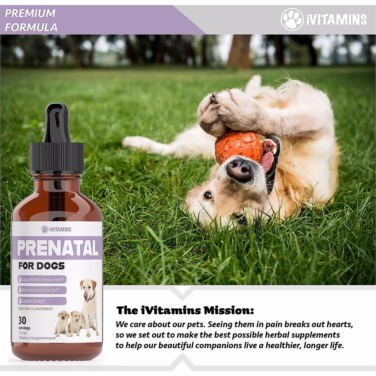 Dog Prenatal Vitamins | Prenatal Vitamins for Dogs | Includes Vitamin B Complex & Vitamin C | Dog Essentials | Whelping Supplies | Prenatal Dog Vitamins | Prenatal for Dogs | 1 Pack: 30 Servings