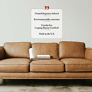 Bayes Premium High Performance Leather Upholstery Cleaner and Conditioner - 16 oz - Prevents Drying, Cracking or Fading of Leather Couches, Car Seats, Shoes, Purses, Pack of 2