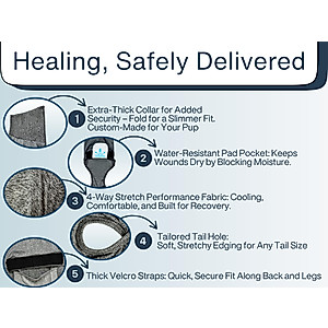 Dog Recovery Suit After Surgery - for Spay Neuter - with Washable Pads - Dog Onesie (Grey Medium)