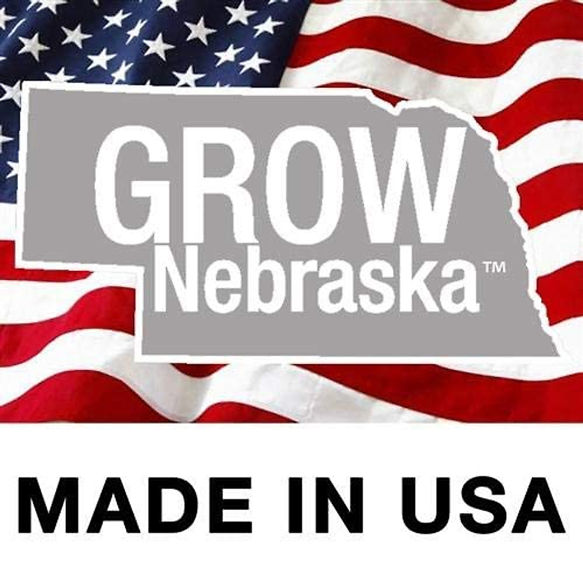 Wild Ass Soap Co | All Natural Beef Tallow Bar Soap | Cow Town | Soap for the Working Man | Soap For Dry Skin | 4.5 oz Bar