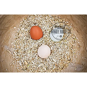 windy ridge co. Hemp Bedding for Chicken Coops, Rabbits, Horses, Small Animals, Reptiles - 33lb Bag, All Natural, Odor Absorbent, Biodegradable, Low Dust