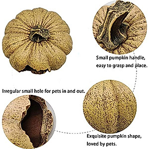 Lizard Hideout Cave,Pumpkin House Reptile Hideout Cave Reptile Hideaway Habitat Decor Chameleons Rest Hut for Turtles Lizards Gecko Spider Chameleons