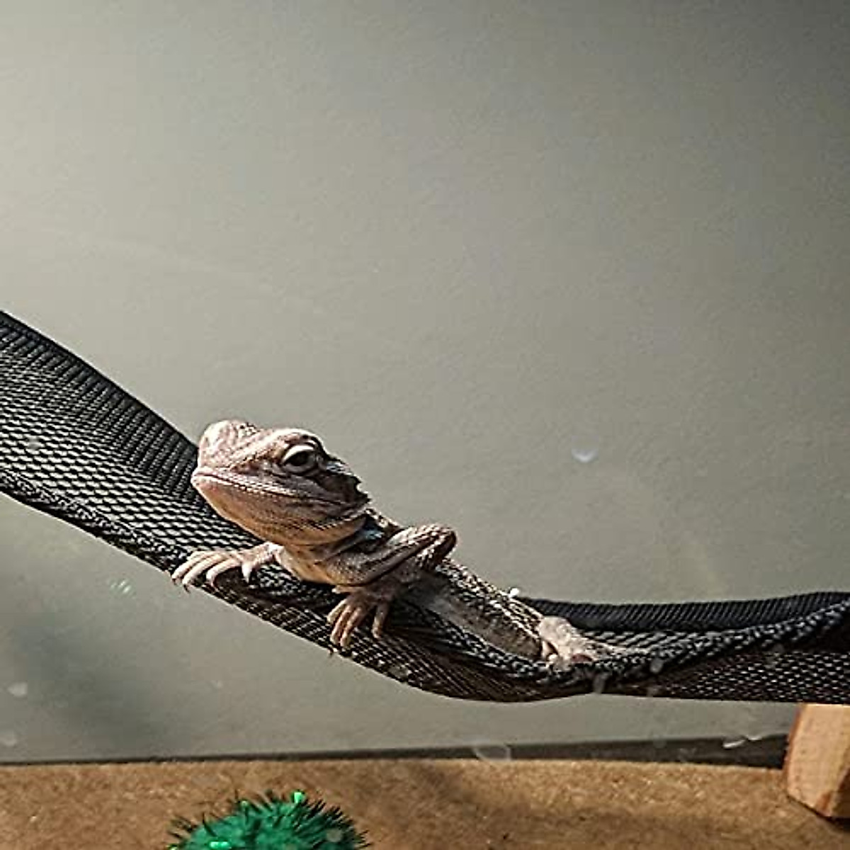 2 Pcs Bearded Dragon Lizard Hammock, Geckos Hammock, Breathable Mesh Reptile Hammock, Suitable for Iguanas, Anoles, Geckos, Snakes, Chameleon