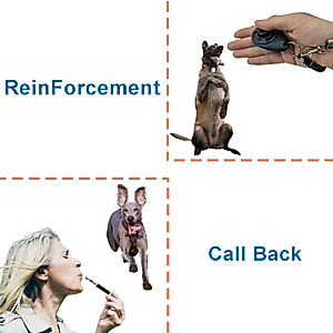 Duuclume Dog Training Kit,Puppy Dog Treat Pouch Bag with Dog Clicker and Silent Whistle with Lanyard,Hands-Free Training Dog Treat Pouch,Includes Carabiner,for Pet Puppy Travel or Outdoor Use(Green)