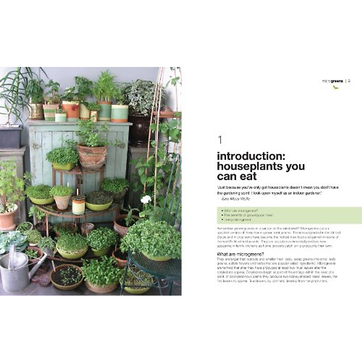 Microgreens: How to Grow Nature's Own Superfood