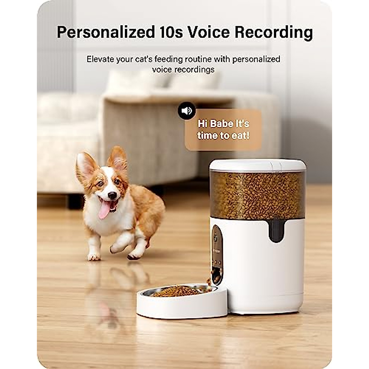 Hicreate Automatic Cat Feeder with Camera, Night Vision, 1080P HD Video & WiFi APP Control Automatic Cat Food Dispenser, 4L Dry Food Feeder for Cats and Dogs, Set up to 8 Meals, Timer, Sound Alerts