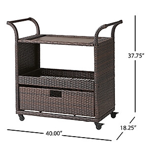 Christopher Knight Home Azriel Indoor Wicker Bar Cart, Multibrown