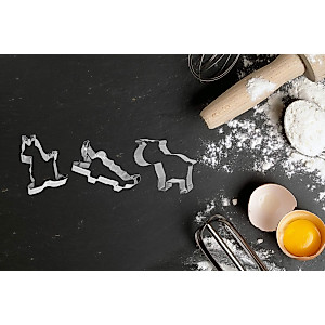 HENGYID Animal Cookie Cutter Set - 9 PCS Stainless Steel Shaped Cookie Candy Food Cutters Molds for DIY, Kitchen, Baking, Cake, Holiday Celebration, Kids Animal Themed Birthday Party (Animal)