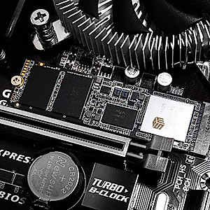 ADATA XPG SX8000 PCIe 256GB 3D NAND MLC NVMe Gen3x4 M.2 2280 Solid State Drive (ASX8000NP-256GM-C)