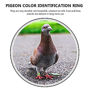 YARNOW 100Pcs Racing Pigeon Leg Rings Aluminium Numbered Bird Foot Ring Identify Dove Training Rings for Pigeon Parrot Finch Canary Hatch Poultry Rings Mixed Color