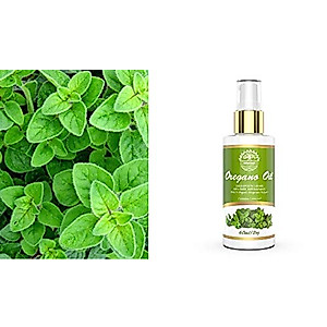 Oregano Oil Organic 2oz Pure Essential Oil Natural Wild Now Carvacrol Oreganol Oil Pump Spray Easy to Apply No Mess 60ml 2Floz