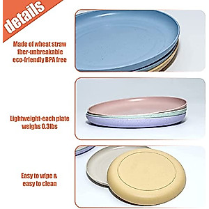 SHECIPIN 12 PACK 6 Inches Lightweight Mini Wheat Straw Plates,Reusable Plate Set Dishwasher & Microwave Safe,Unbreakable Deep Dinner Plates, Plastic Plates Reusable,They are easy to clean BPA free