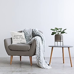 Stupell Industries Gratitude Into Enough Inspirational Family Home Word Design by Daphne Polselli Pillow, 18 x 18, Beige