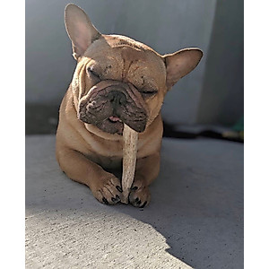 Powder Hound Pet Co. Elk Antler Dog Chew, Great for Aggressive Chewers, All-Natural, Premium A/#1 Grade Elk Antlers, Naturally Shed in USA, Cruelty Free Dog Bones, Will Not Splinter (Small)