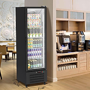 ACONEE Refrigerator Commercial Glass Door Display Upright Freezer, Black