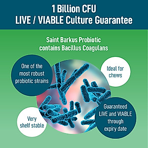 Saint Barkus Probiotic + Fiber Regularity & Digestive Health. Probiotic Supplements for Dogs for Gut Health, Regularity, Upset Stomach and Allergies. Give Back to No-Kill Shelters! 90 Count
