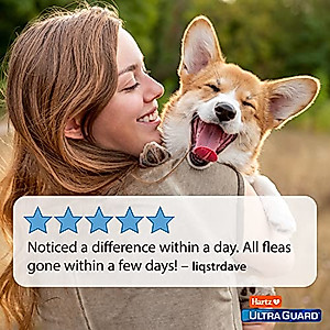Hartz UltraGuard Flea & Tick Dog Spray, 032700106232 16 Fl Oz