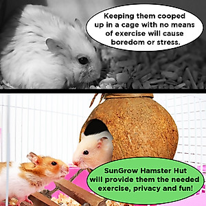SunGrow Coconut Hamster House with Ladder with Opening Hole, Nesting Home and Feeder with Hanging Loop