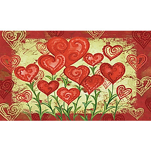 Toland Home Garden 800048 Garden Hearts Spring Door Mat 18x30 Inch Flower Outdoor Doormat for Entryway Indoor Entrance