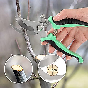 Garden Pruning Shears, 7.5" Professional Gardening Scissors, SK-5 Stainless Steel Blade Tree Secateurs, Manual Pruner for Plants, Gardening, Trimming, Garden Tools (Green)