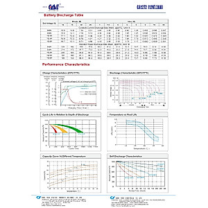 Casil 12V 7.2Ah Razor Replacement Battery Compatible with e200s, e225, e300, e300s, e325 2 Pack