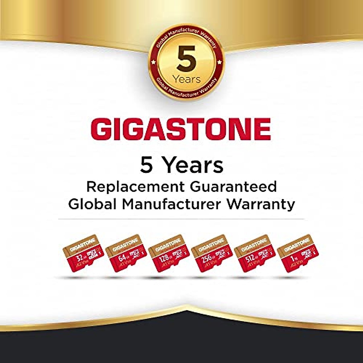 [5-Yrs Free Data Recovery] Gigastone 256GB Micro SD Card, 4K Camera Pro MAX, A2 V30 MicroSDXC Memory Card for Smartphone, Gopro, Action Cams, 4K UHD Video, Up to 130/85 MB/s, UHS-I U3 C10 with Adapter