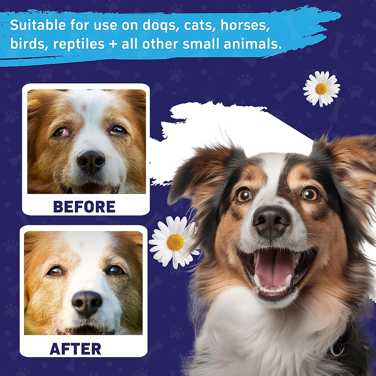 Spanielbuns Dog Eye Drops 200ml,All Natural Ingredients Eye Wash for Dogs and Cats, Cleanses Tear Stains, Mucus, Improves Allergy Symptoms and Dry Eyes(2pack)