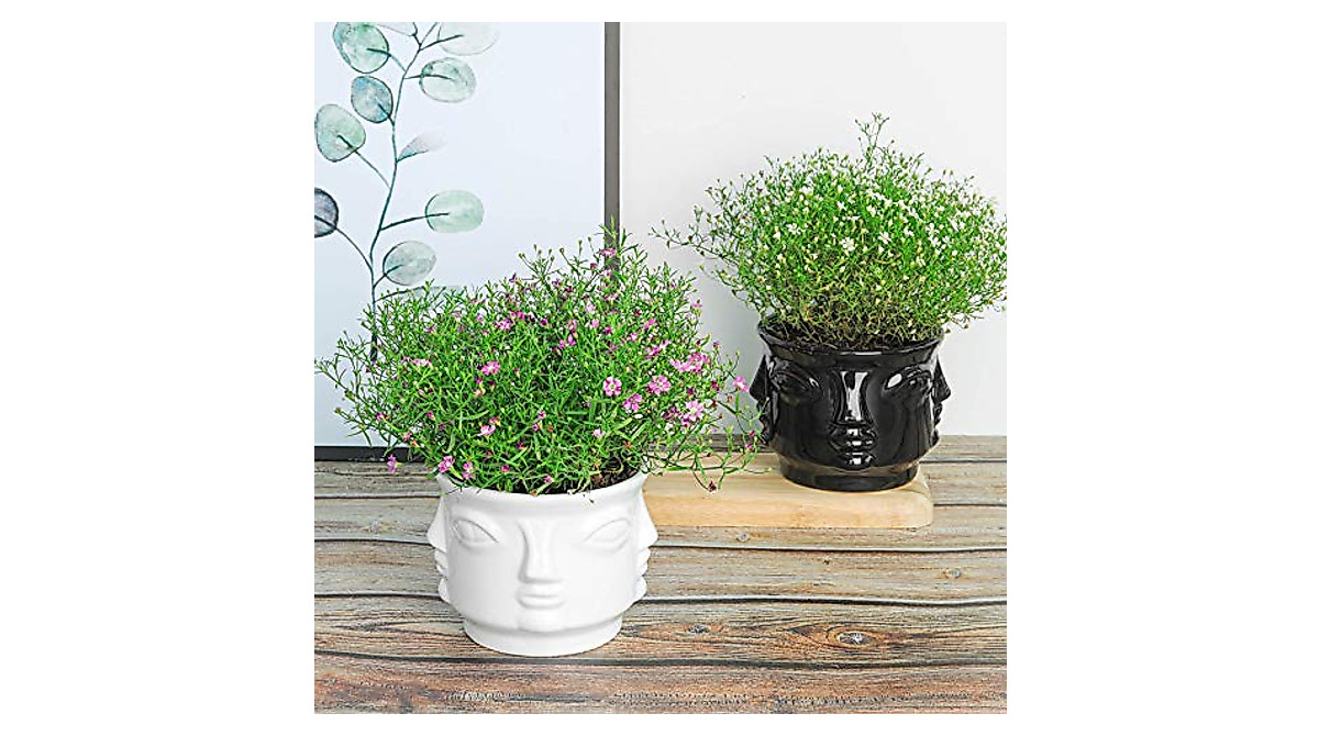 T4U Face Succulent Pots 2-Pack - Stylish Ceramic Plant Planters