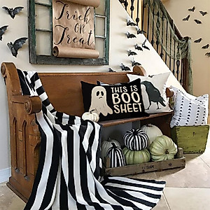 AACORS Halloween Pillow Cover 12X20 Inch Ghost Funny Halloween Saying Decoration Holiday Farmhouse Pillow Case Decor for Home Sofa Couch Indoor Outdoor AA188-12