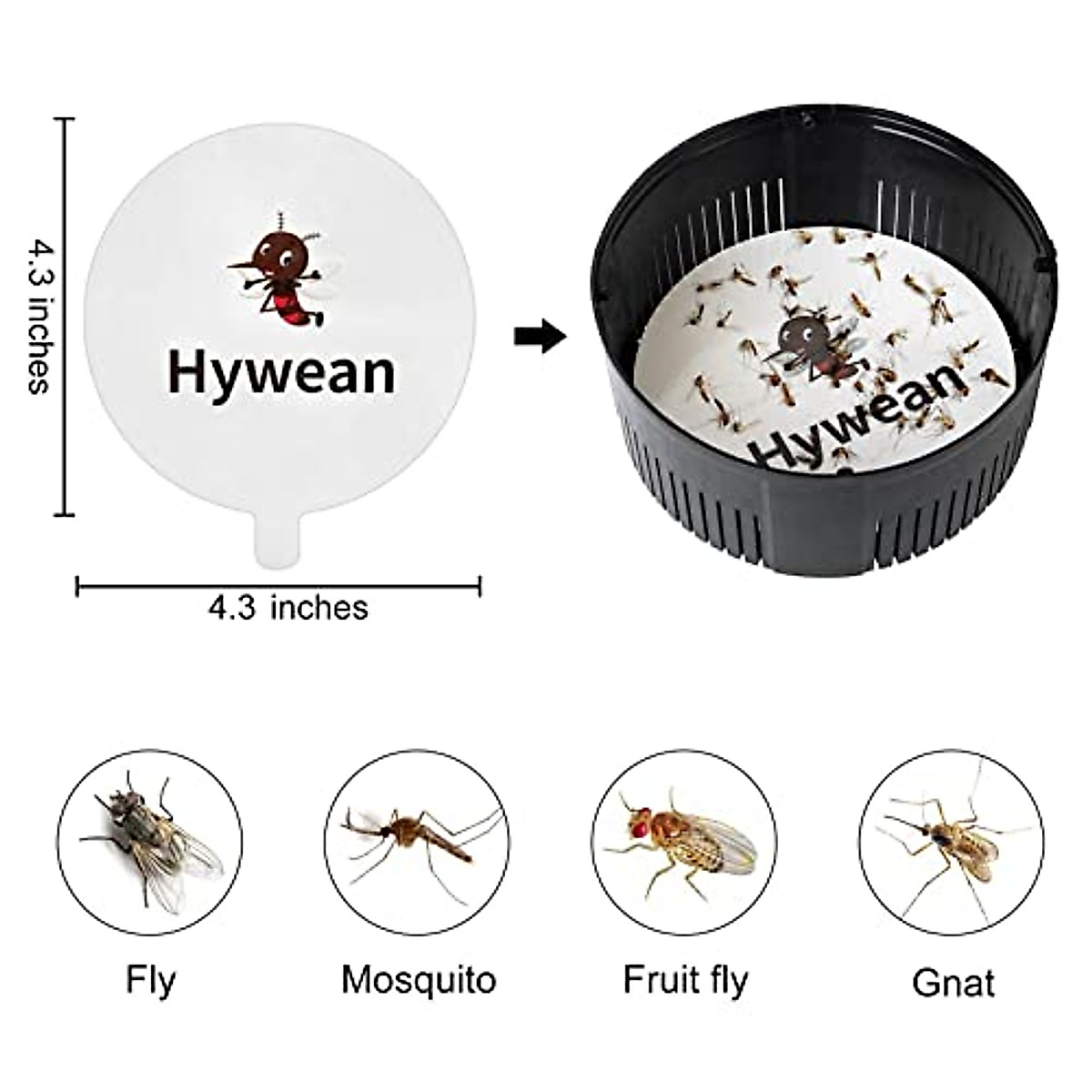 24 Pack Fly Trap Refill Glue Boards Fits for 4.3" Mosquito Traps Glue Boards for Insects Use
