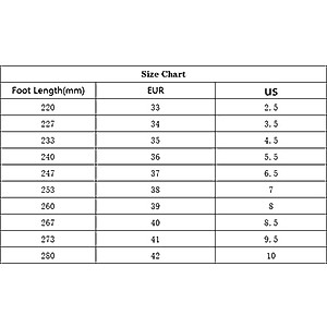 TAILORIA Double Row Roller Skate Roller Shoes Unisex Kick Roller Shoes Four Wheel Skateboard Shoes Children's Skates Detachable 2 in 1 Roller Skates White