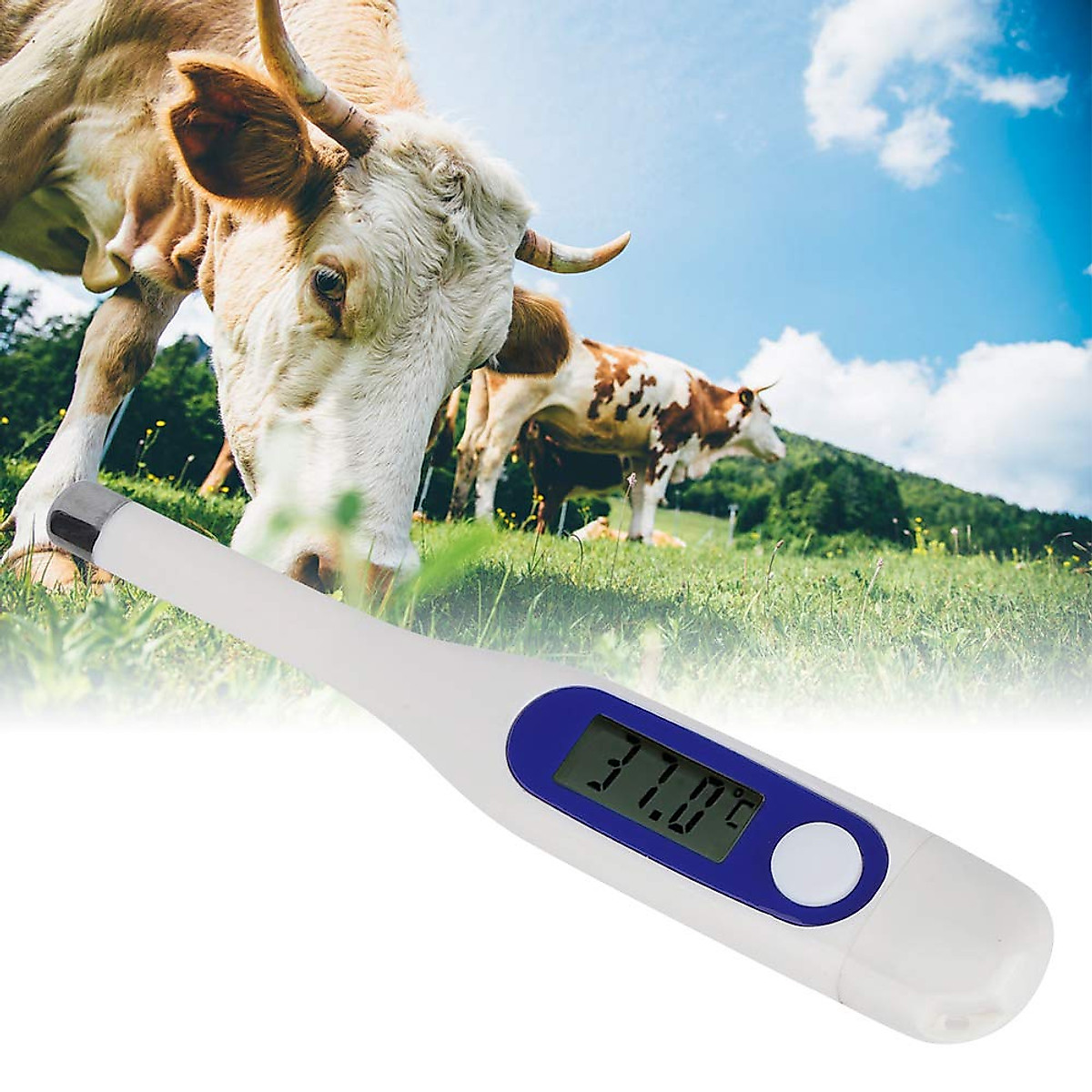 Veterinary Electronic Thermometer LCD Digital Animal Thermometer for Cattle Sheep Horses Pigogs Use,Garden Ding Poultry Ding Plies