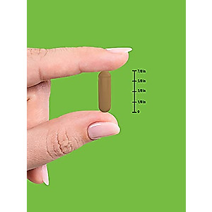 Ceylon Cinnamon Capsules | 2500mg | 60 Count | Vegetarian, Non-GMO & Gluten Free Supplement | Plus Chromium and Biotin | by Nature's Truth