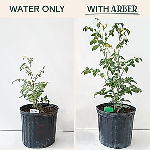 Arber Nutrition & Health Starter Set - Organic Plant Nourishment, Protection & Growth Boost - Liquid Concentrate for Gardens (Organic Nutrition & Health Set)