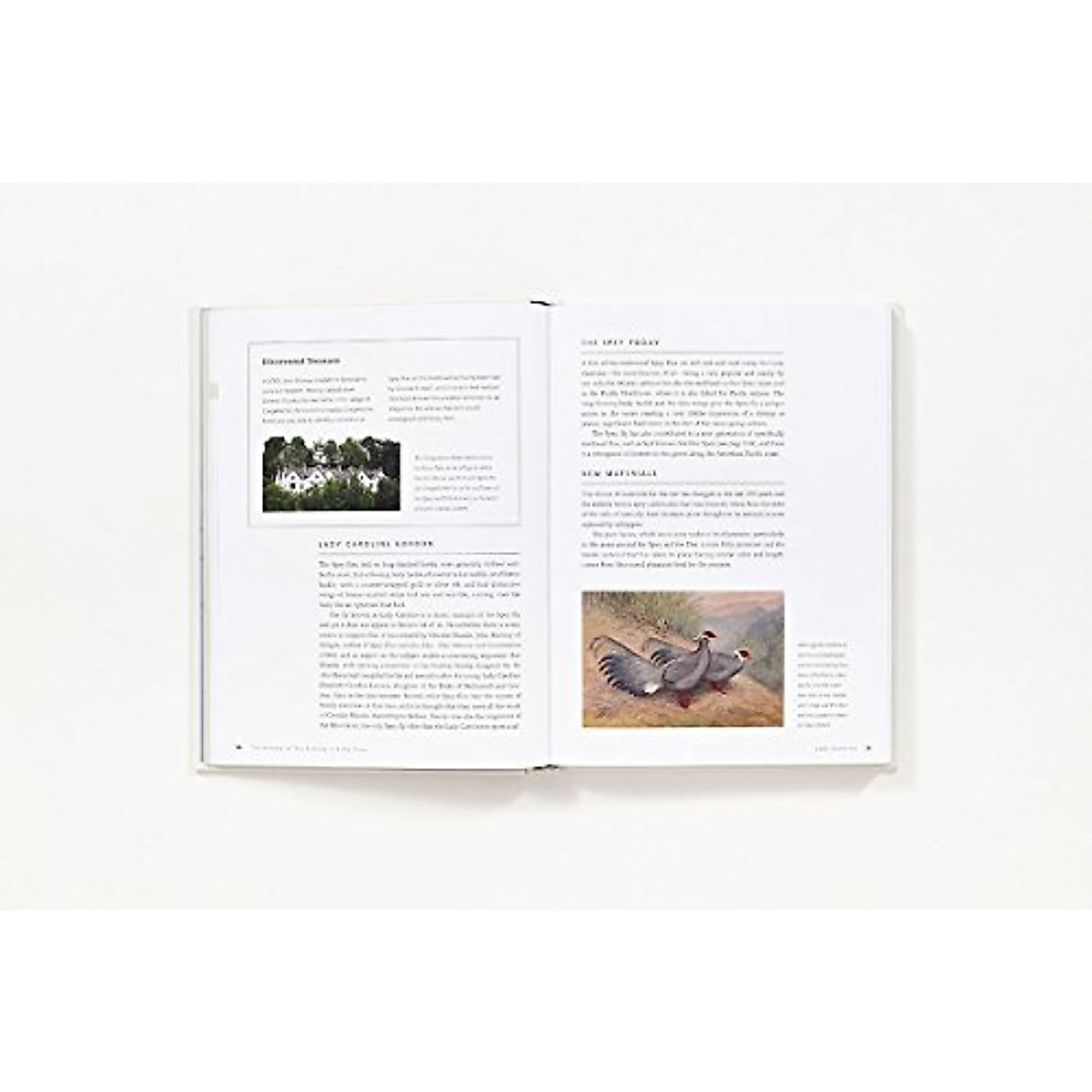 The History of Fly-Fishing in Fifty Flies