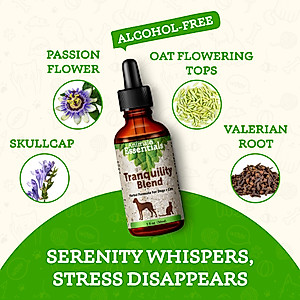 Animal Essentials Tranquility Blend Herbal Formula for Dogs & Cats, 1 fl oz - Made in USA, Calming Supplement, Anxiety Relief
