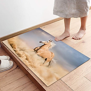Fandim Fly Funny Indoor Doormat 20 x 31.5 Inches A Horse Running in The Desert Home and Office Decorative Entry Rug Garden/Kitchen/Bedroom Mat