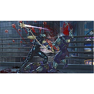 Ninja Gaiden II (Renewed)