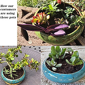 ARTKETTY Succulent Planters - Ceramic Succulent Pots with Drainage, 10 Inch Large Shallow Bonsai Pot with Stand Decorative Garden Cactus Flower Planter Container Bowl for Desk or Windowsill