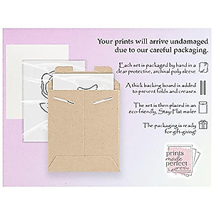 Black and White Wall Art - Flower Line Drawings - Botanical Prints - Abstract Pictures - Set of 4-11x14 - Unframed (11x14)