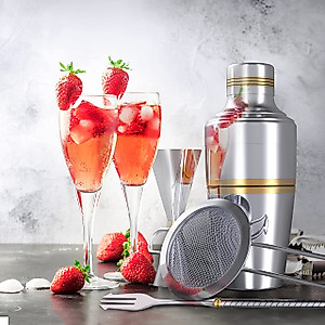 VinoBravo Cocktail Shaker Set for Home Bars and Professionals, Include Martini Shaker 17oz, Double Jigger, Mixing Spoon and Fine Mesh Strainer - Premium 18/8 Stainless Steel