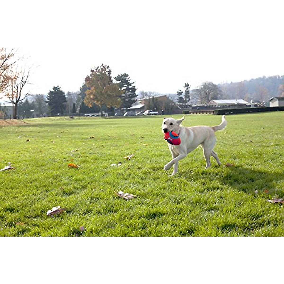 Chuckit! Fumble Fetch Dog Toy, Outdoor and Indoor Dog Toy Small