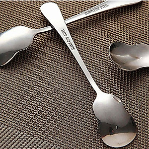 WARMBUY Small Stainless Steel Ice Cream Spoon Coffee Spoons Dessert Spoons, Set of 10