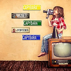 Huer Capybara BLVD Street Sign, Funny Animal Wall Decor for Home/Bedroom/Man Cave, Quality Metal Signs 16x4 Inch