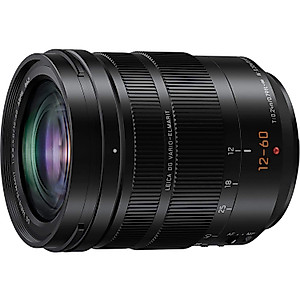 PANASONIC LUMIX G LEICA DG VARIO-ELMARIT PROFESSIONAL LENS, 12-60MM, F2.8-4.0 ASPH, MIRRORLESS MICRO FOUR THIRDS, POWER O.I.S, H-ES12060 (Renewed)