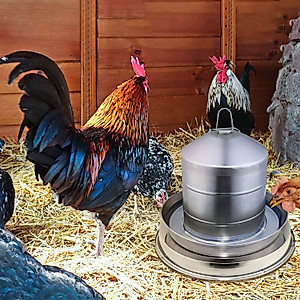 Chicken Waterer Heater, 125 Watts Poultry Water Heated,15 Inch Base for Winter Deicer, with 9.6 Feet Extension Cordor,for 5 Gallons Chicken Drinker…
