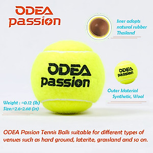 ODEA Passion Tennis Balls,High-Elasticity,Extra Duty for Tennis Training or Competition,ITF Approved Tennis Balls for Adult Competition (1)
