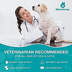 MaxHemp Dog Hip & Joint Care for Pet Oil-BOYIGENGXIN-42